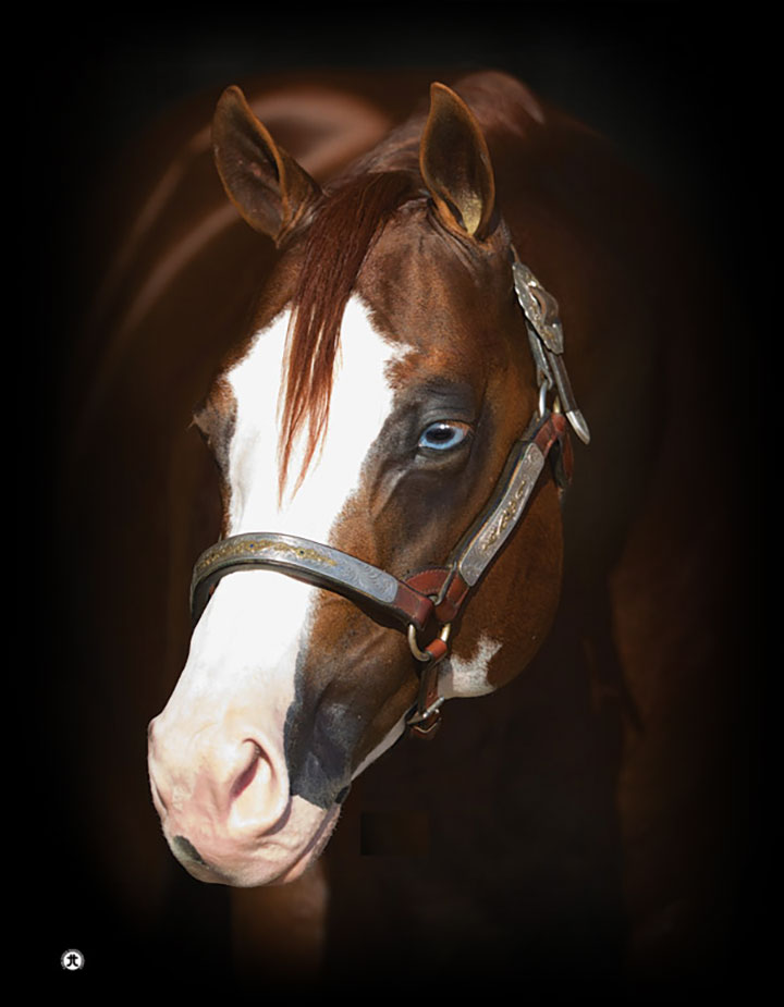 ELECTRIC SNOW - Orlandini Equine