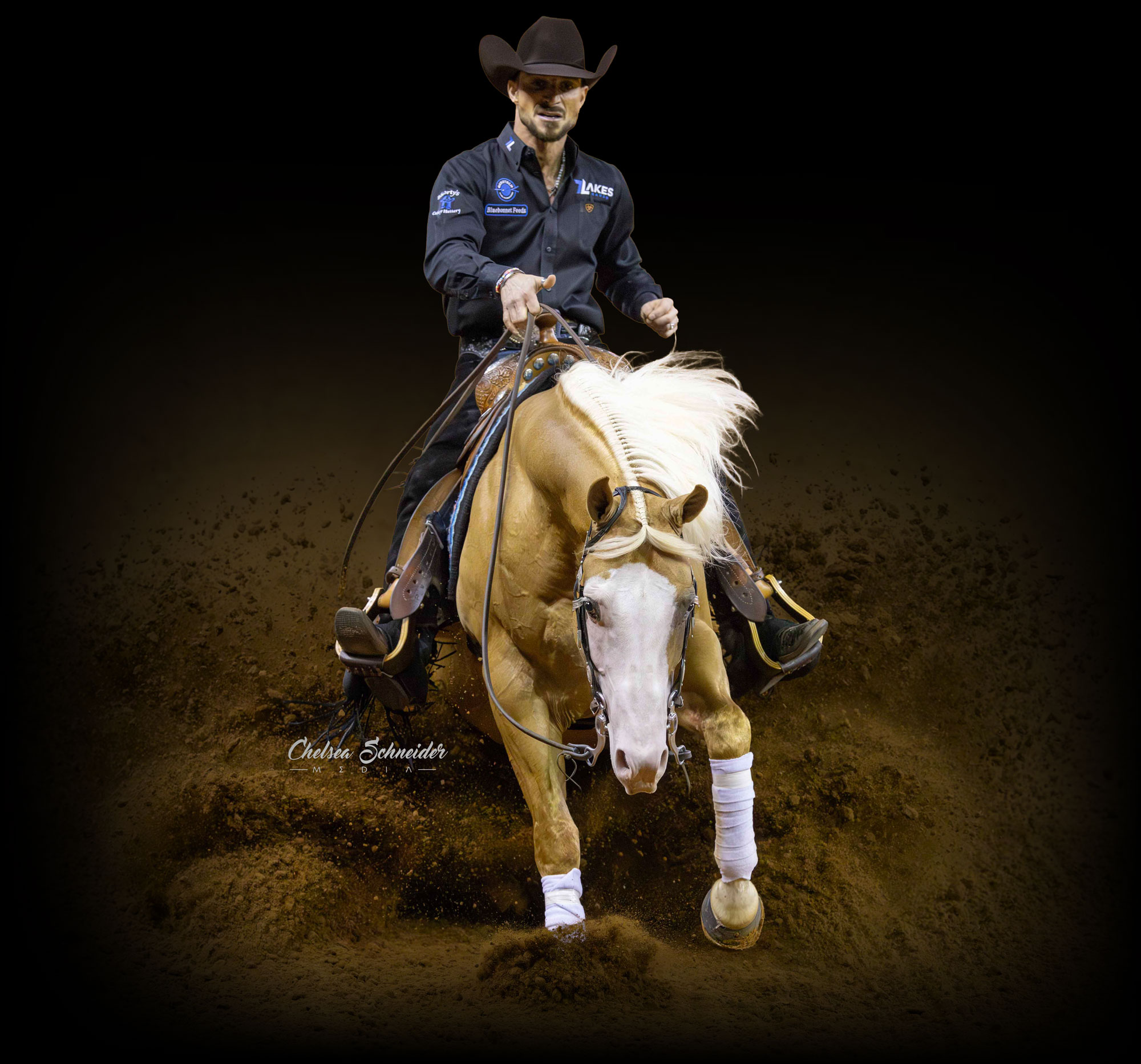 Mark My Word - Orlandini Equine